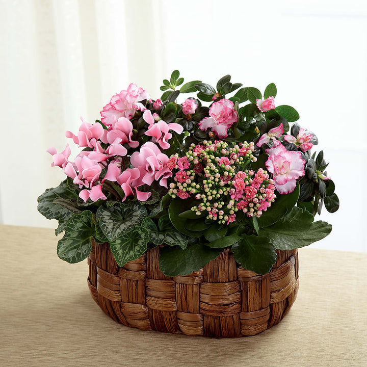 Sympathy flowers and plants for the home by Garside Florist–Garside Florist