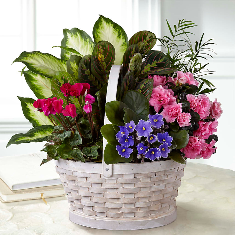 Sympathy flowers and plants for the home by Garside Florist–Garside Florist